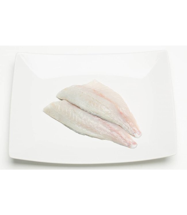 Dorade filet met huid - Urker Vishandel Hakvoort