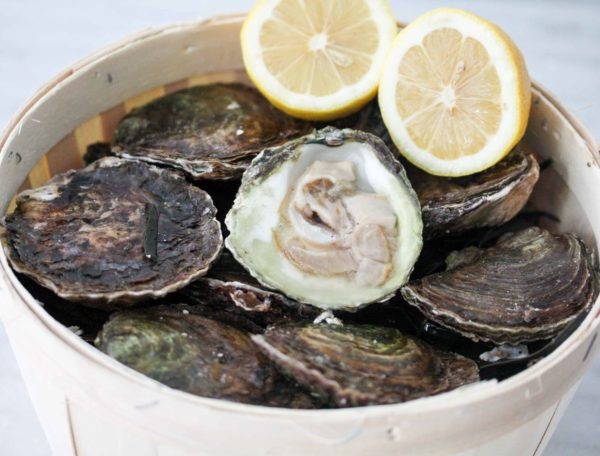 Platte Zeeuwse Oester - Urker Vishandel Hakvoort