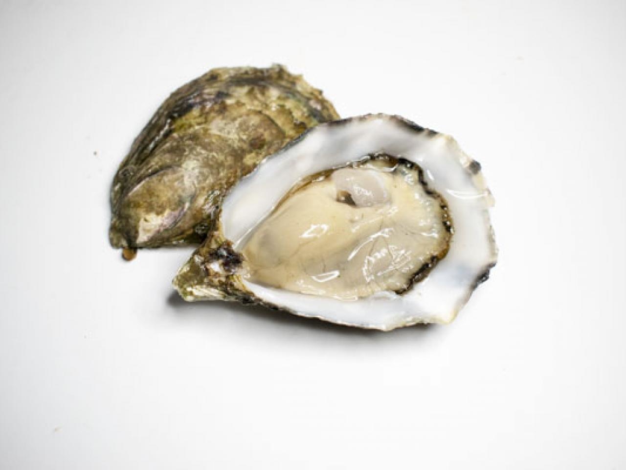 Ierse oesters (de Oisri fearr) - Urker Vishandel Hakvoort