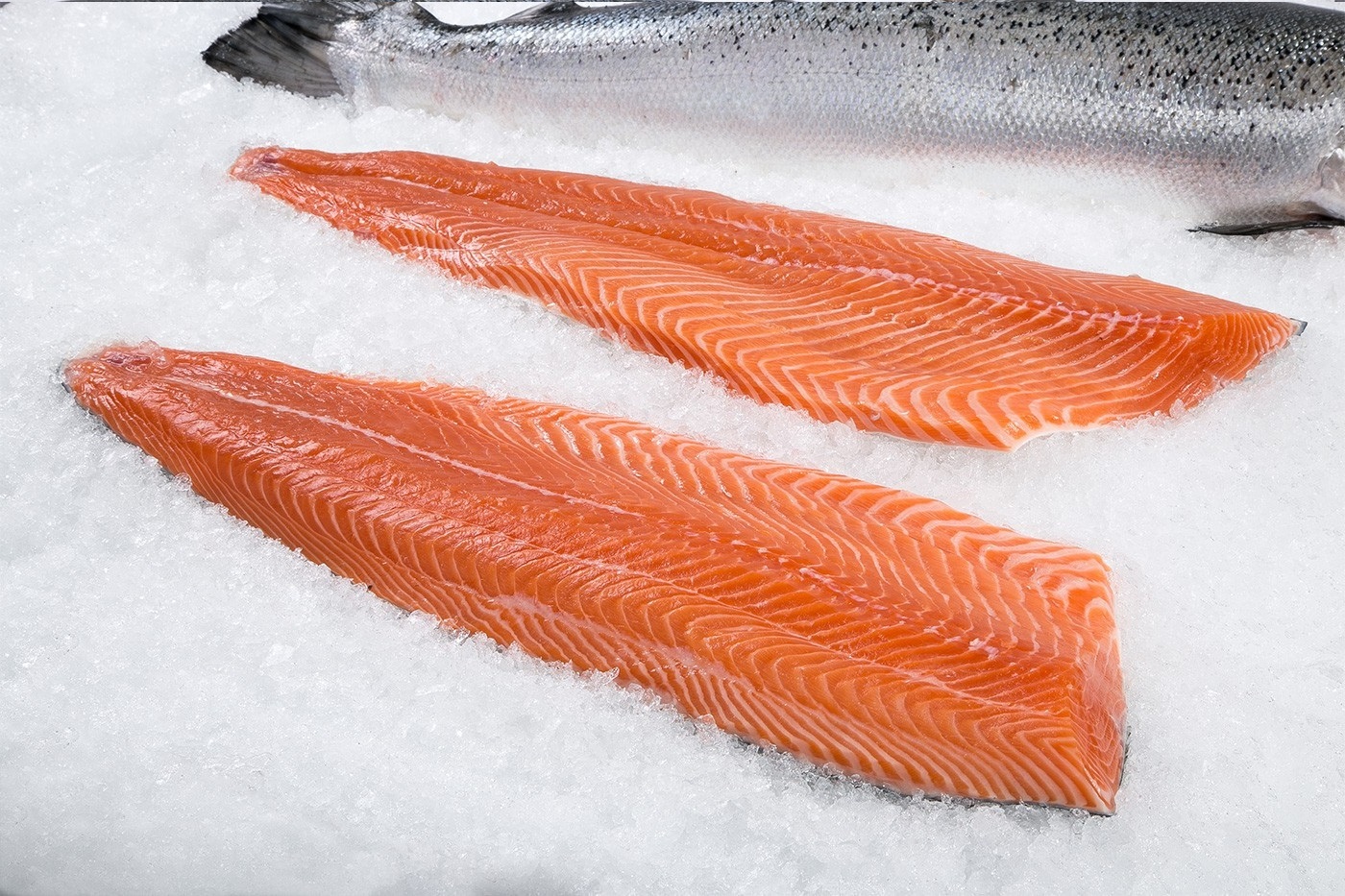 Verse zalmfilet hele zijde met huid - Urker Vishandel Hakvoort