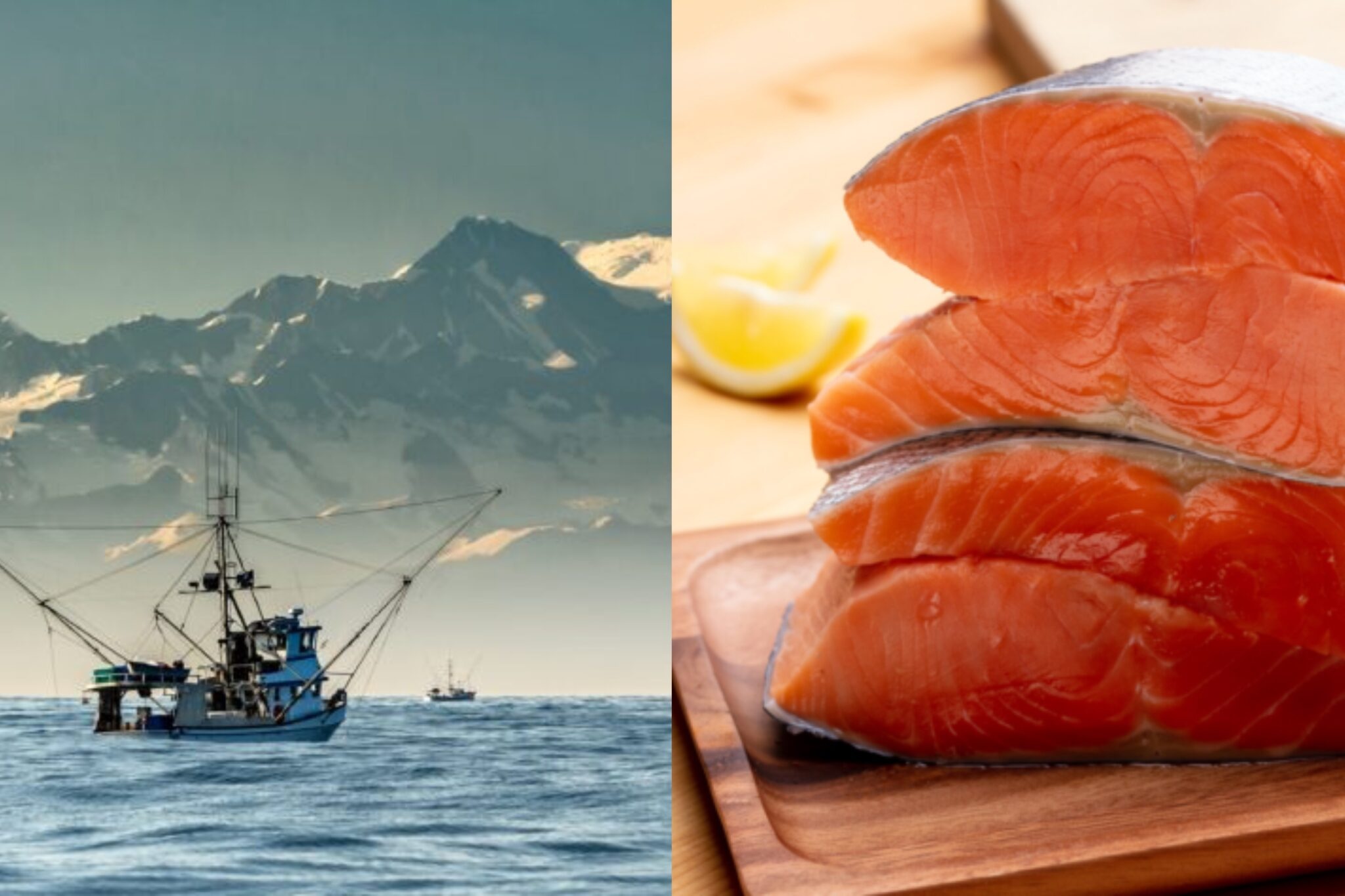 Wilde zalmfilet Alaska Sockeye - Urker Vishandel Hakvoort