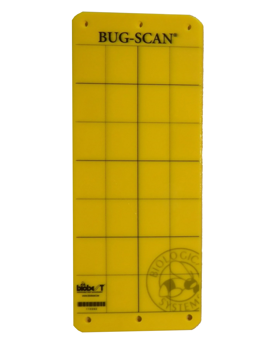 Brimex Biobest Bug-Scan Insecten Plakkaart - 10stks - EUGardencenter