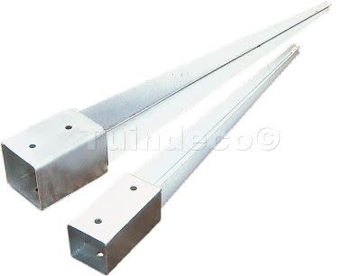 Paalpunt - Martin Robben