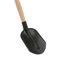 SCHEP - Martin Robben