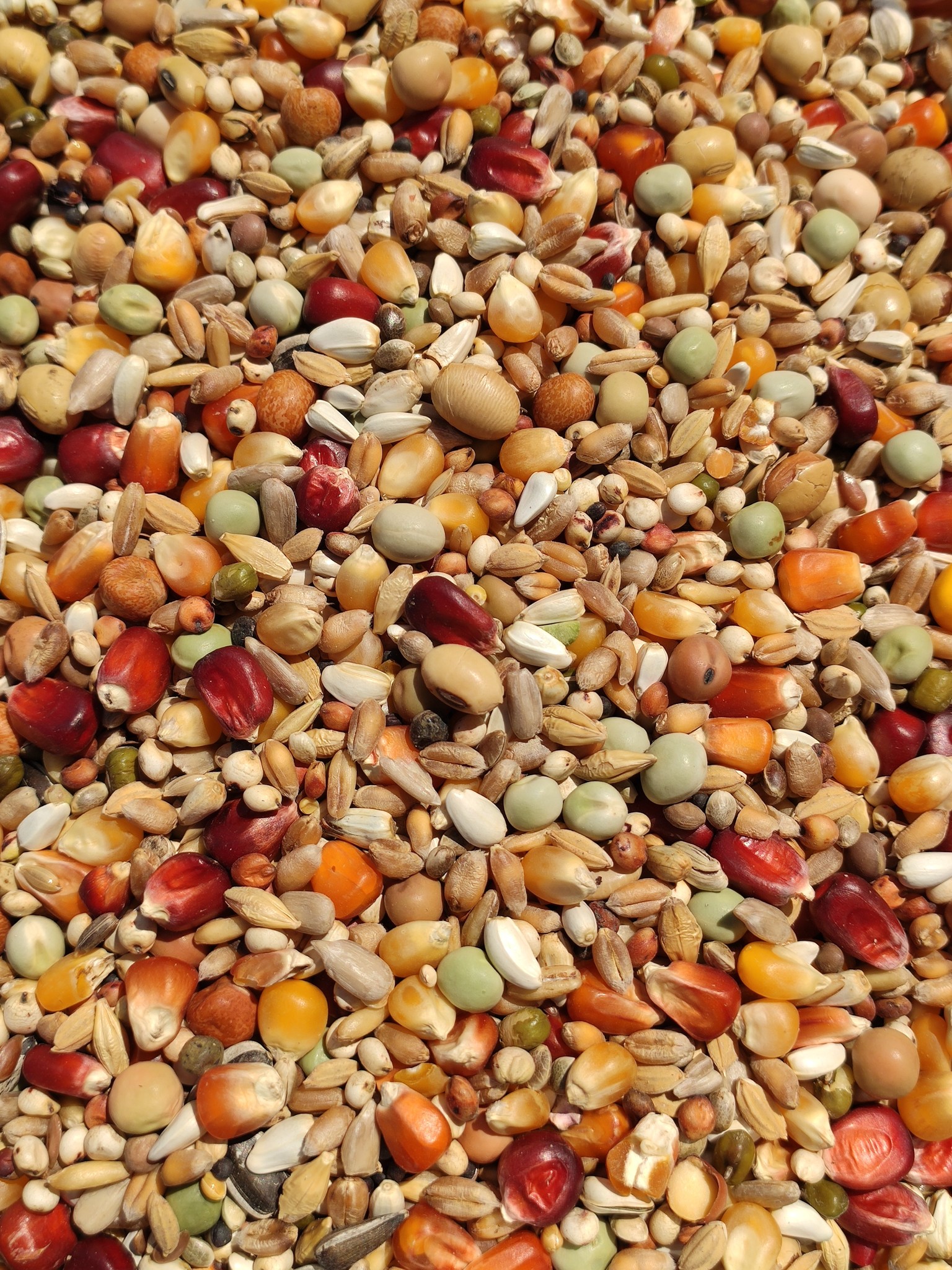 Champion Mix nr 2106 20kg - De Duyfconceptstore - De Duyf Conceptstore