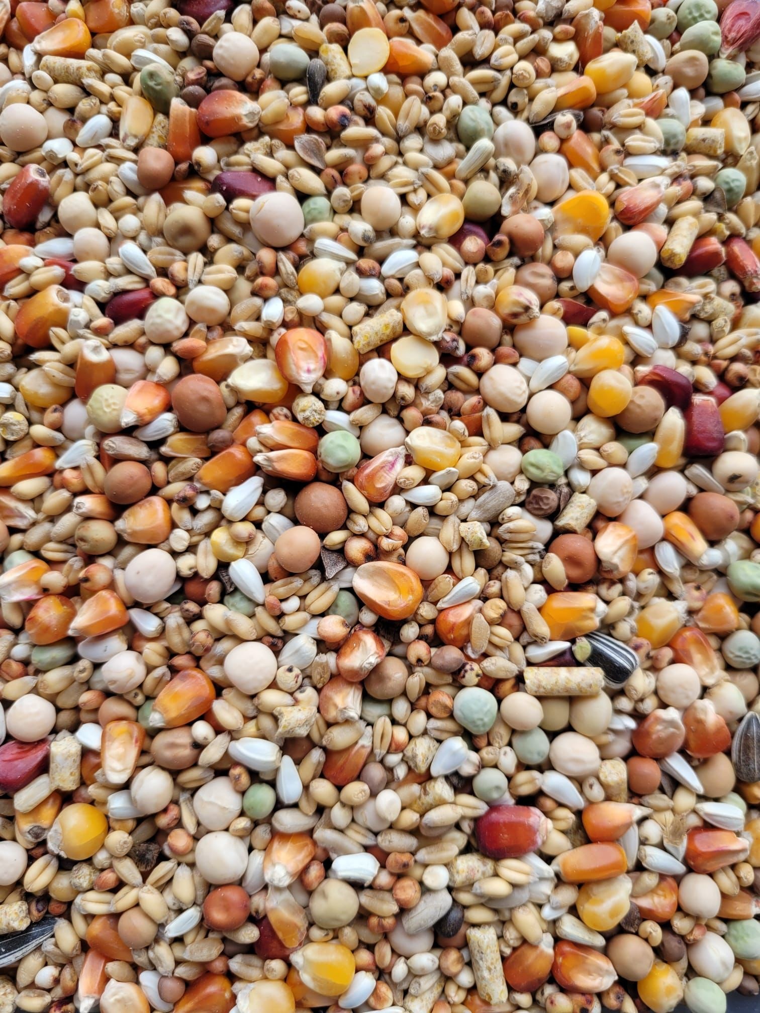 Kweek All-in 22kg nr.357 - De Duyfconceptstore - De Duyf Conceptstore