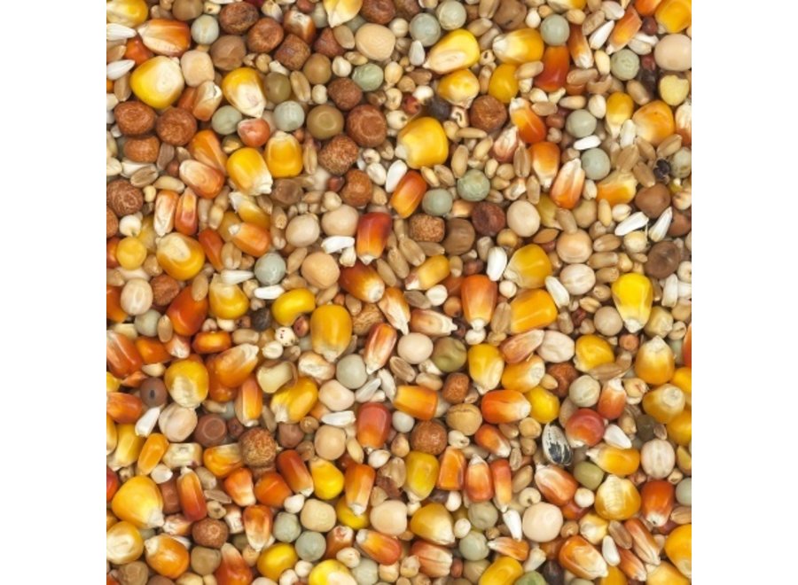 Duivenvoer De Duyf Conceptstore - De Duyf Conceptstore