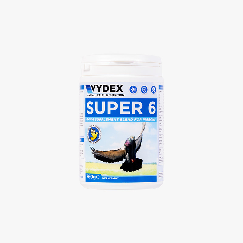 Super 6 (760gr) - De Duyf Conceptstore