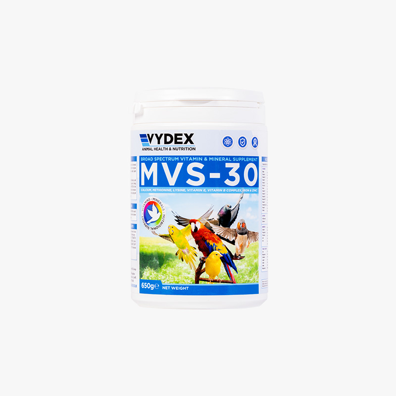 MVS-30, vitaminen en supplementen. (650gr) - De duyfconceptstore - De ...