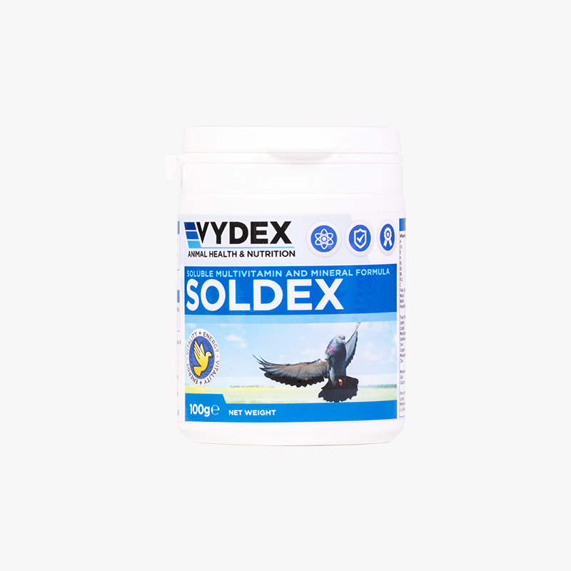 Soldex - (100gr) - De duyfconeptstore - De Duyf Conceptstore
