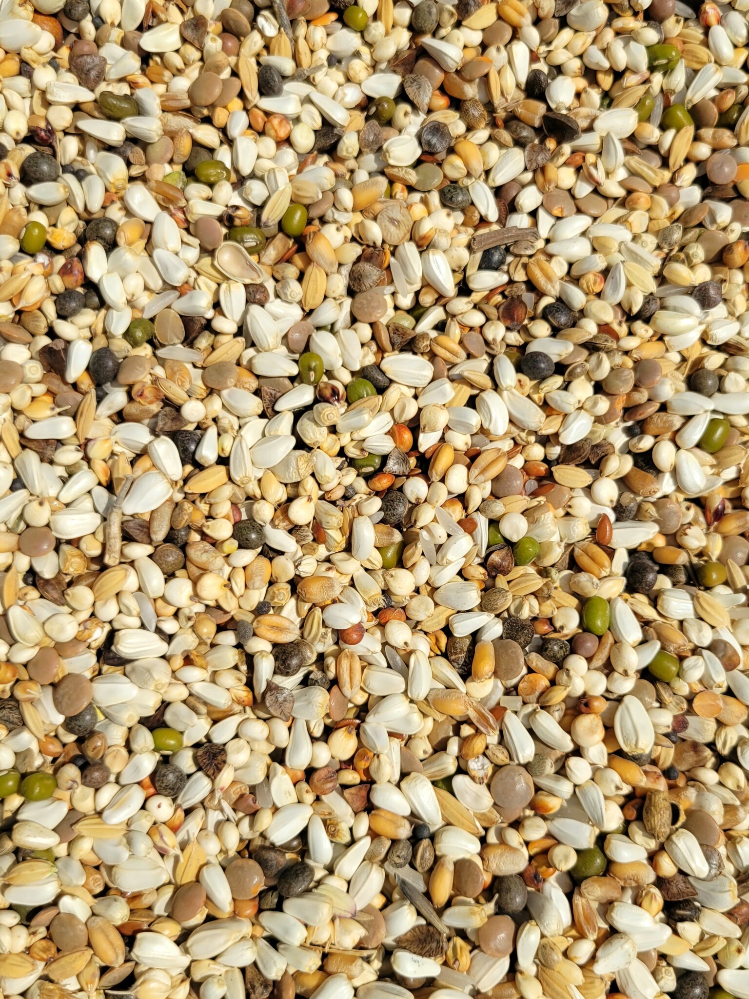 DIEET ALL-IN NR.427 (20KG) - De duyfconceptstore - De Duyf Conceptstore