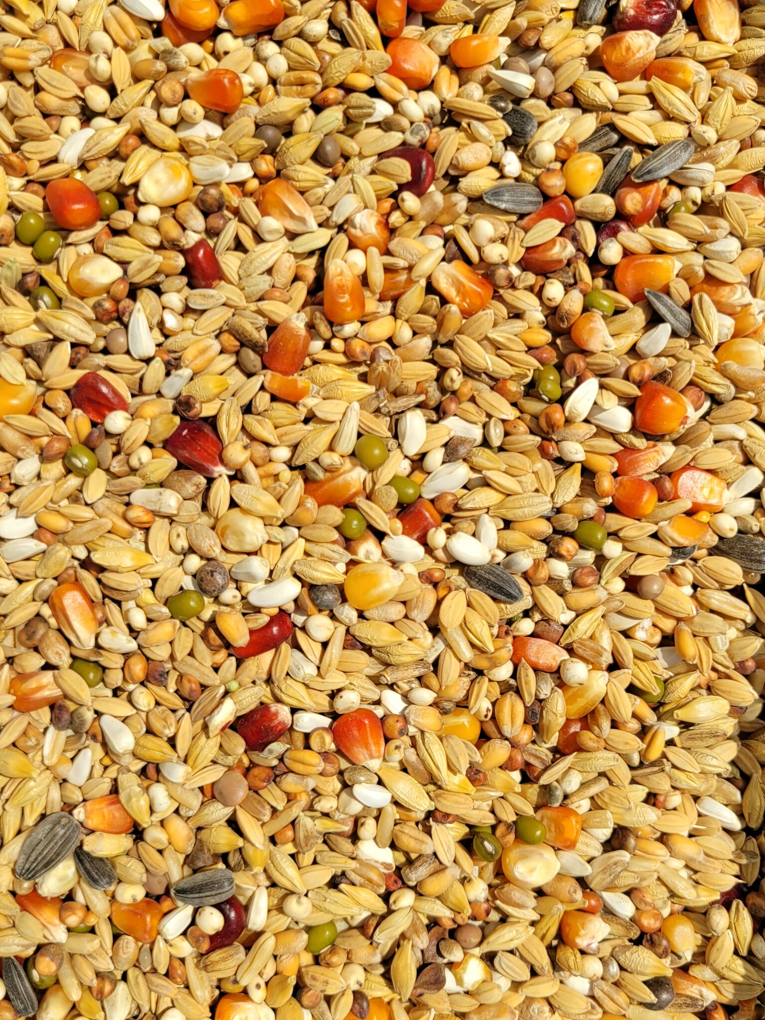 DETOX ALL-IN 20KG NR 036 - De Duyfconceptstore - De Duyf Conceptstore