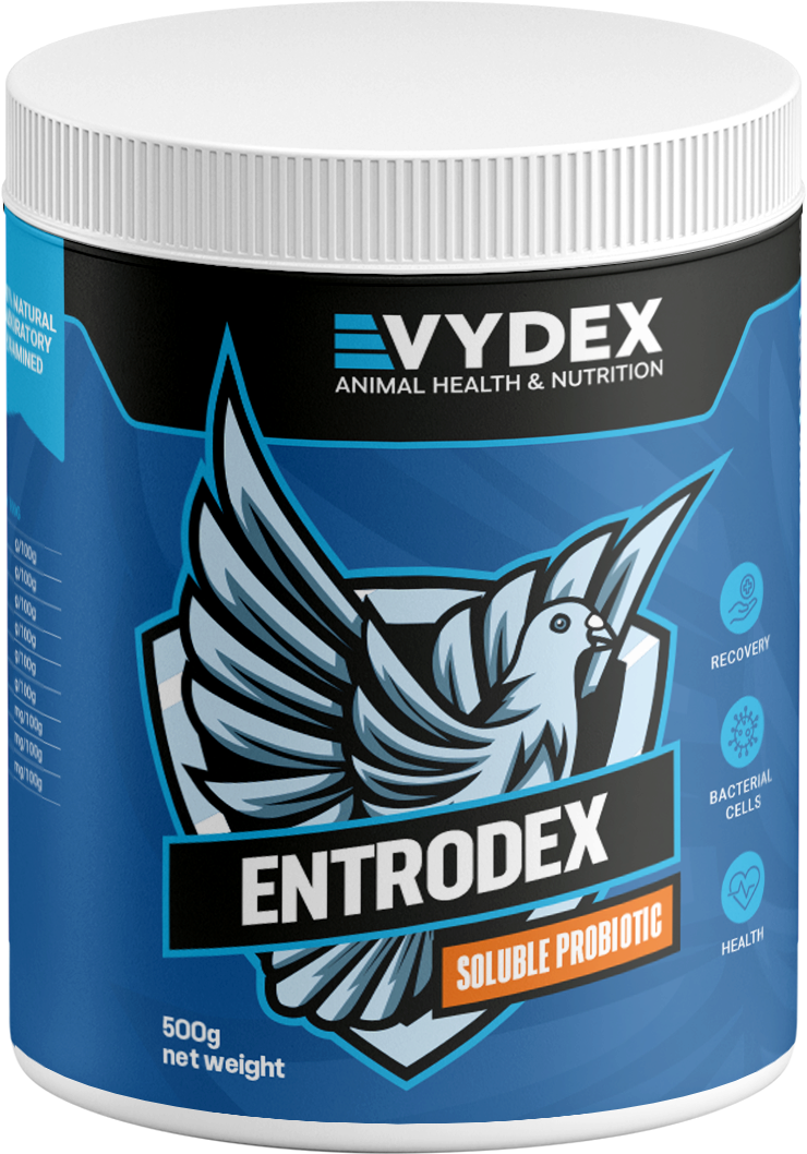 Jaap Koehoorn Entrodex (500gr)