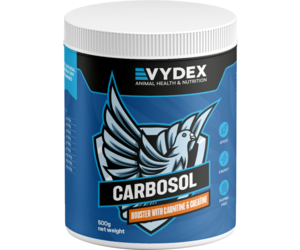 Carbosol - (500gr) - De Duyf Conceptstore