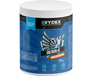 Dexol-E ( NIEUWE FORMULE ) - (500ml) - De Duyfconceptstore - De Duyf ...