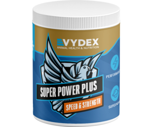 Super power plus - (300gr) - De Duyf Conceptstore