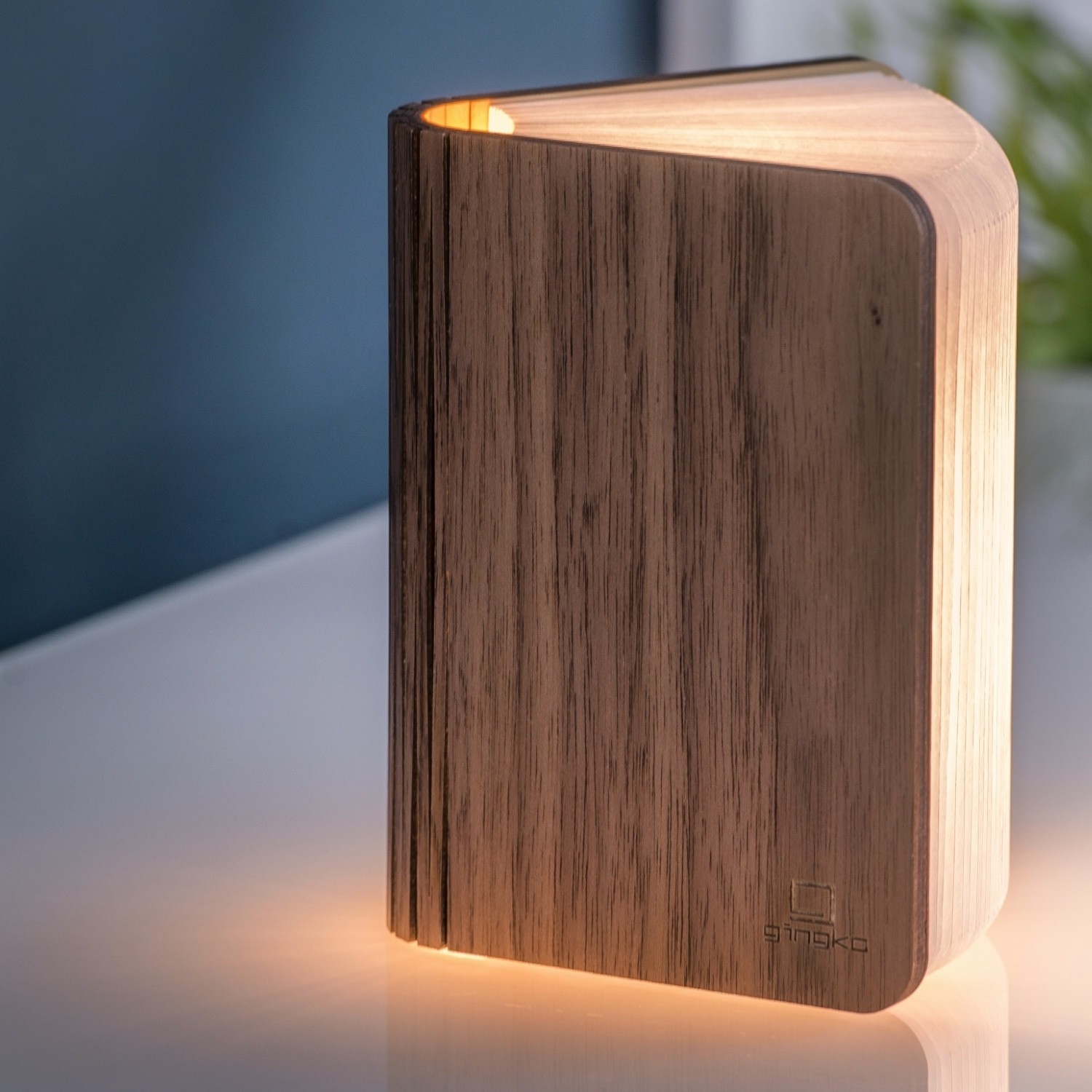 Large LED Smart Booklight - Walnut - Trading Boundaries