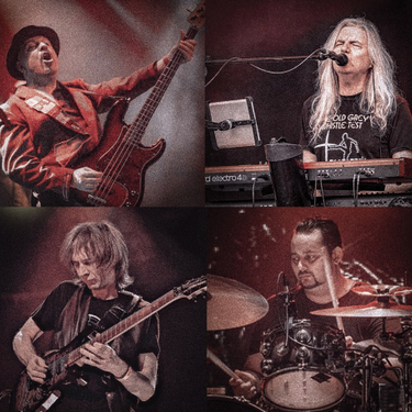 What's On - Trading Boundaries