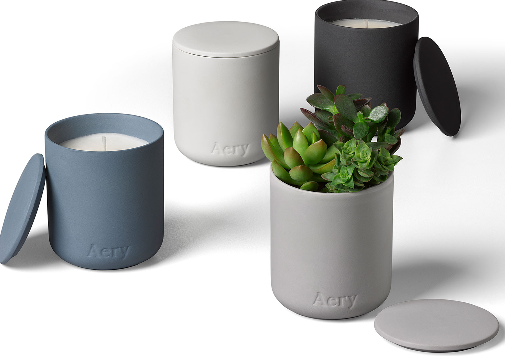 Persian Thyme Reed Diffuser - Trading Boundaries