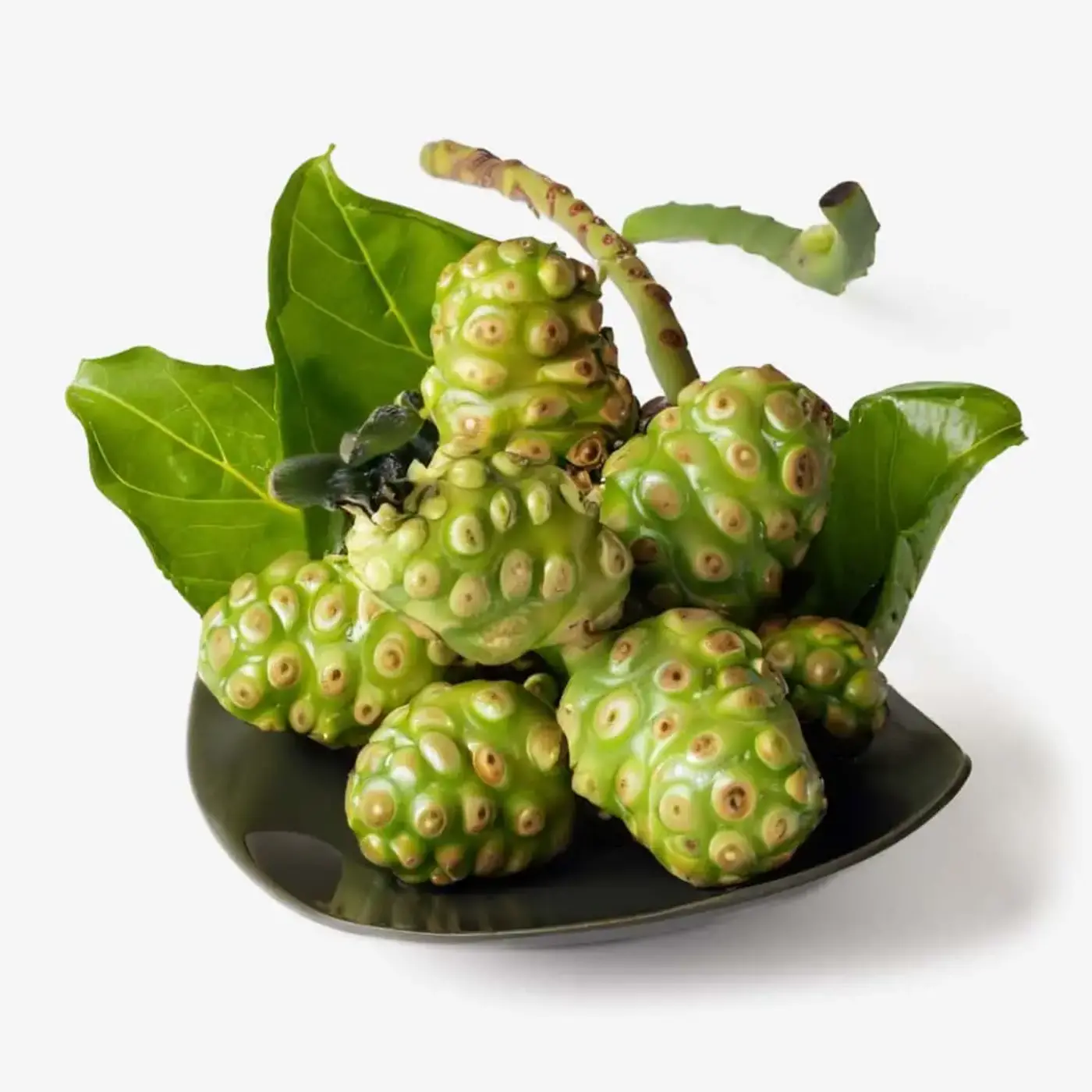 Noni Extract: Rejuvenating Boost for Healthy, Glowing Skin - Brewing ...