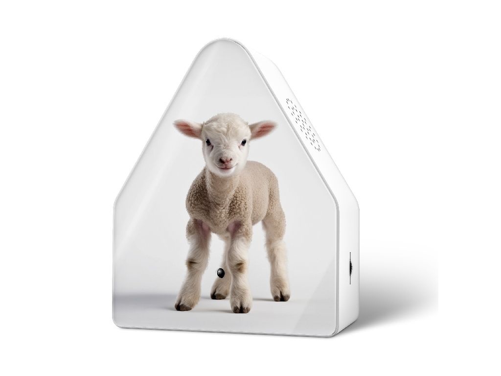 Relaxound Heidibox Baby Sheep Limited Edition 25 - Marc Cook & Home ...