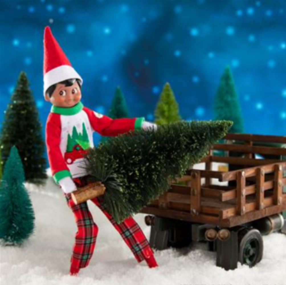 The Elf on the Shelf | Bomen en Boerderij Pyjama - Speelgoedwinkel Lazy ...