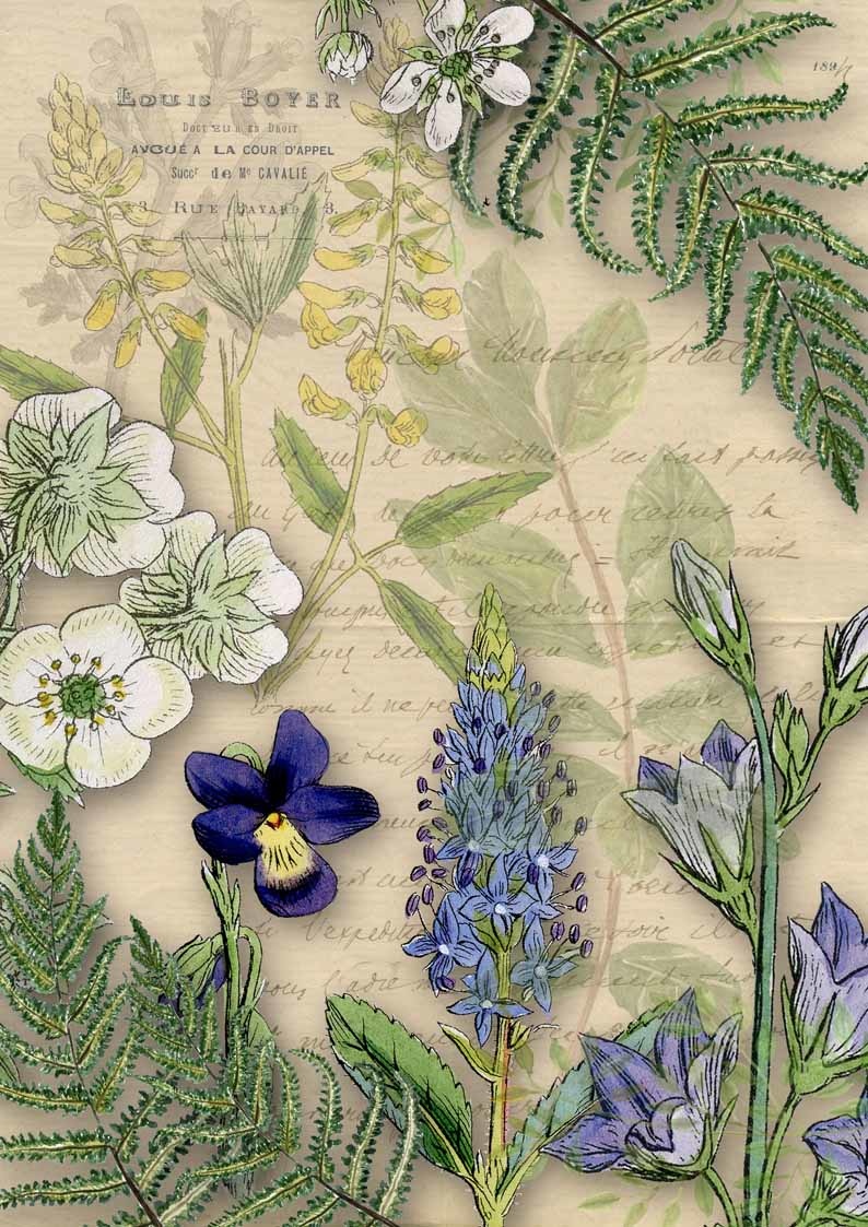 Decoupage Queen Botanical Letter with Wildflowers Rice Paper A4 - Scraphut