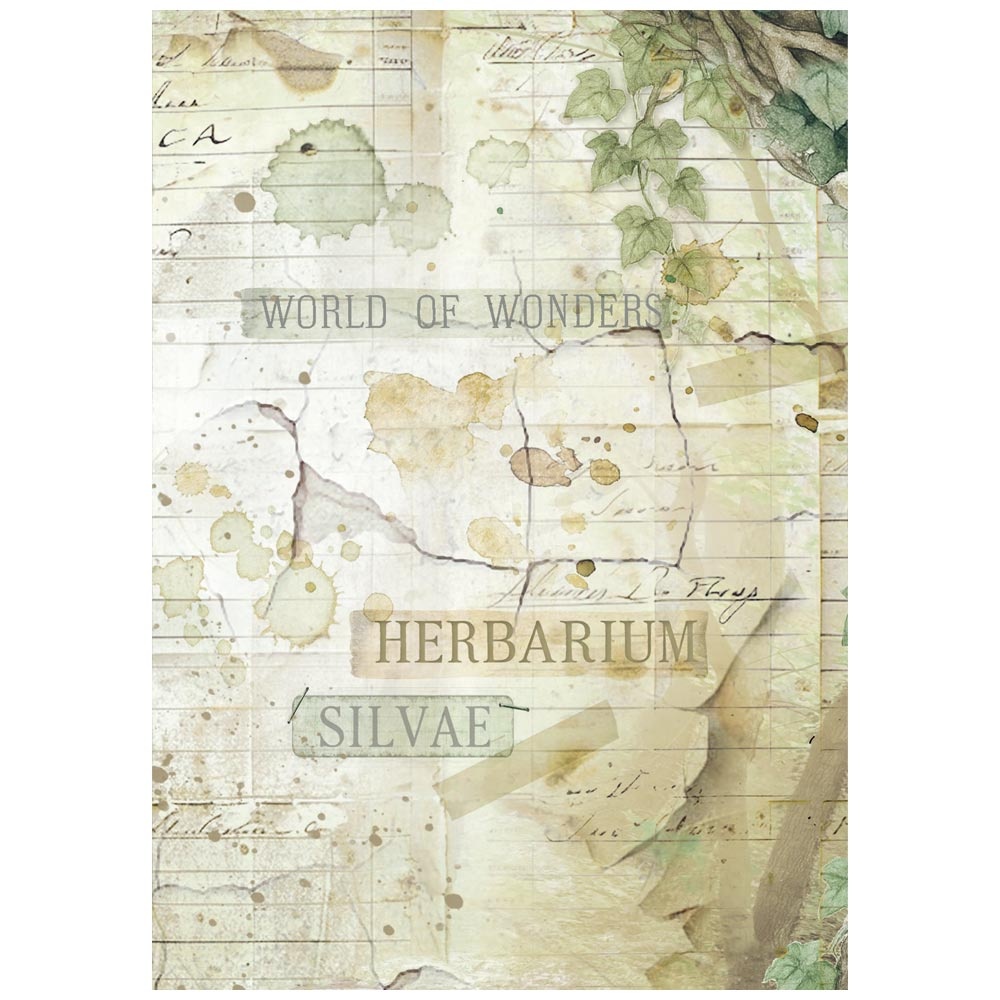 Stamperia Selection 8 Rice paper A6 backgrounds Herbarium Silvae - Scraphut
