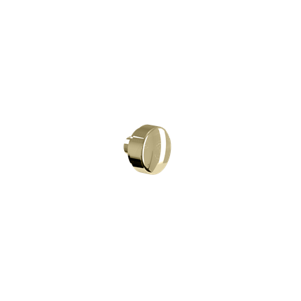 Burlington pan fixing screws and covers gold SP387 - TheClassicHouse ...