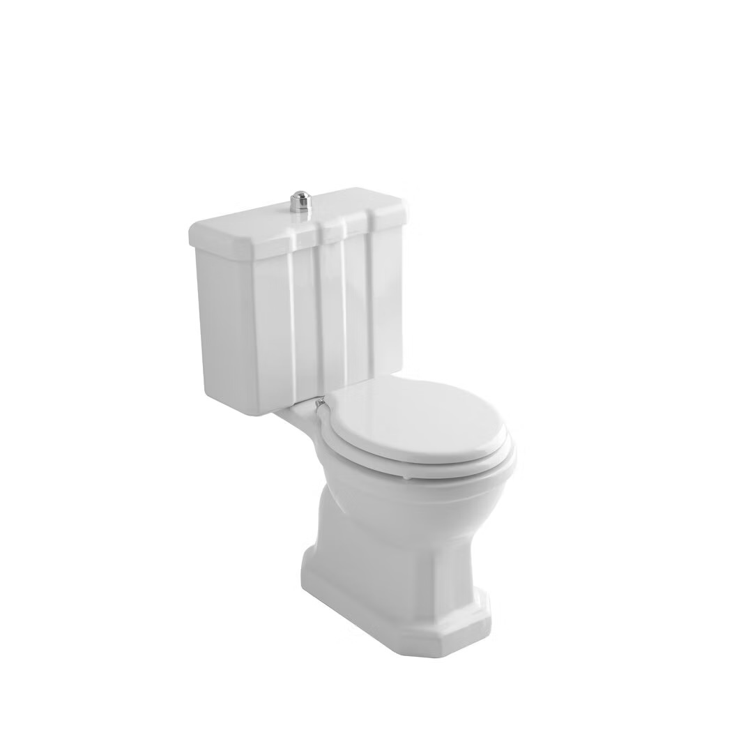 Bleu Provence Close coupled toilet with wall or floor drain ...