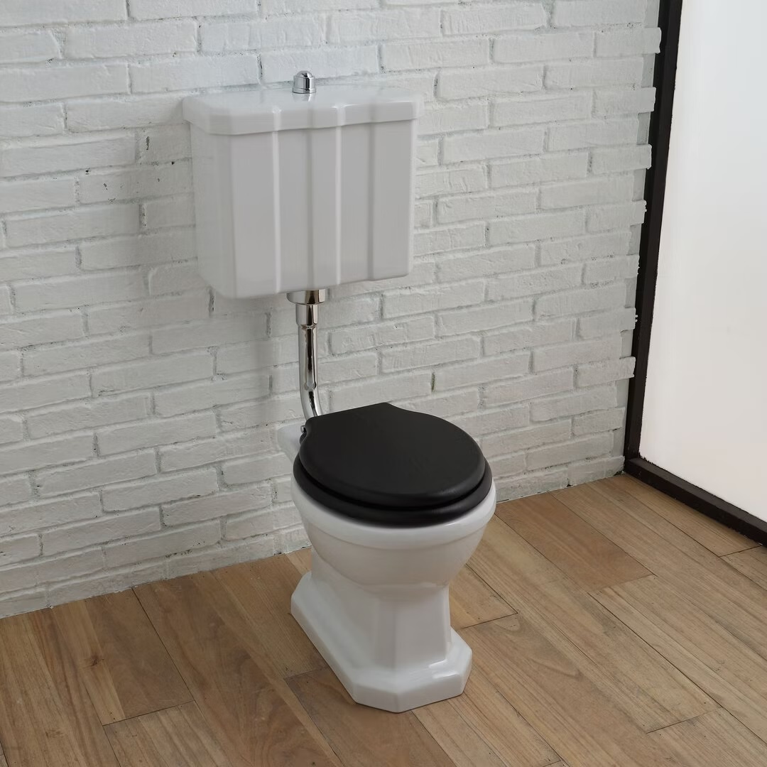 Bleu Provence low level toilet with wall or floor drain ...