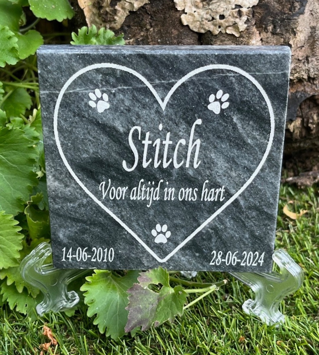Memorial stone for dog or cat with animal feet | Order online now