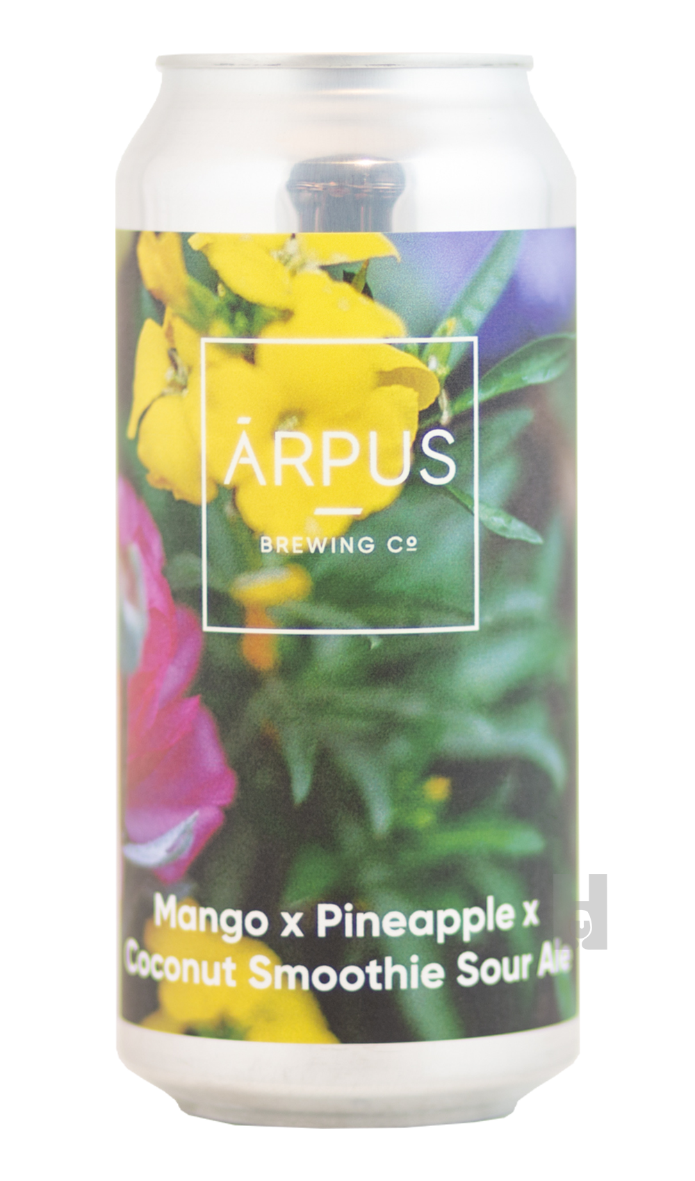 Arpus Mango x Pineapple x Coconut Smoothie Sour Ale - Hoptimaal