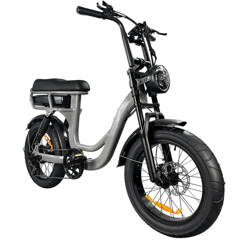EB8 PRO - 250 Watt - Elektrische Fiets / Fatbike - Hydraulisch | Grijs ...