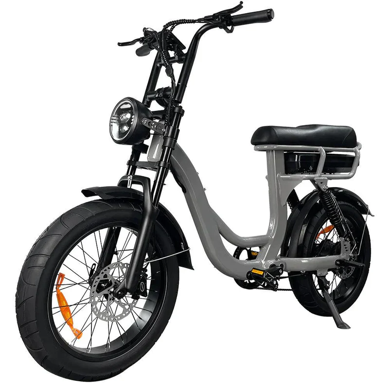 EB8 PRO - 250 Watt - Elektrische Fiets / Fatbike - Hydraulisch | Grijs ...
