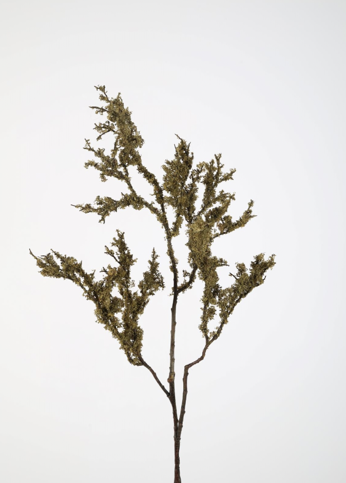 C&G - Moss branch bruin/naturel - Studio Ndrie8