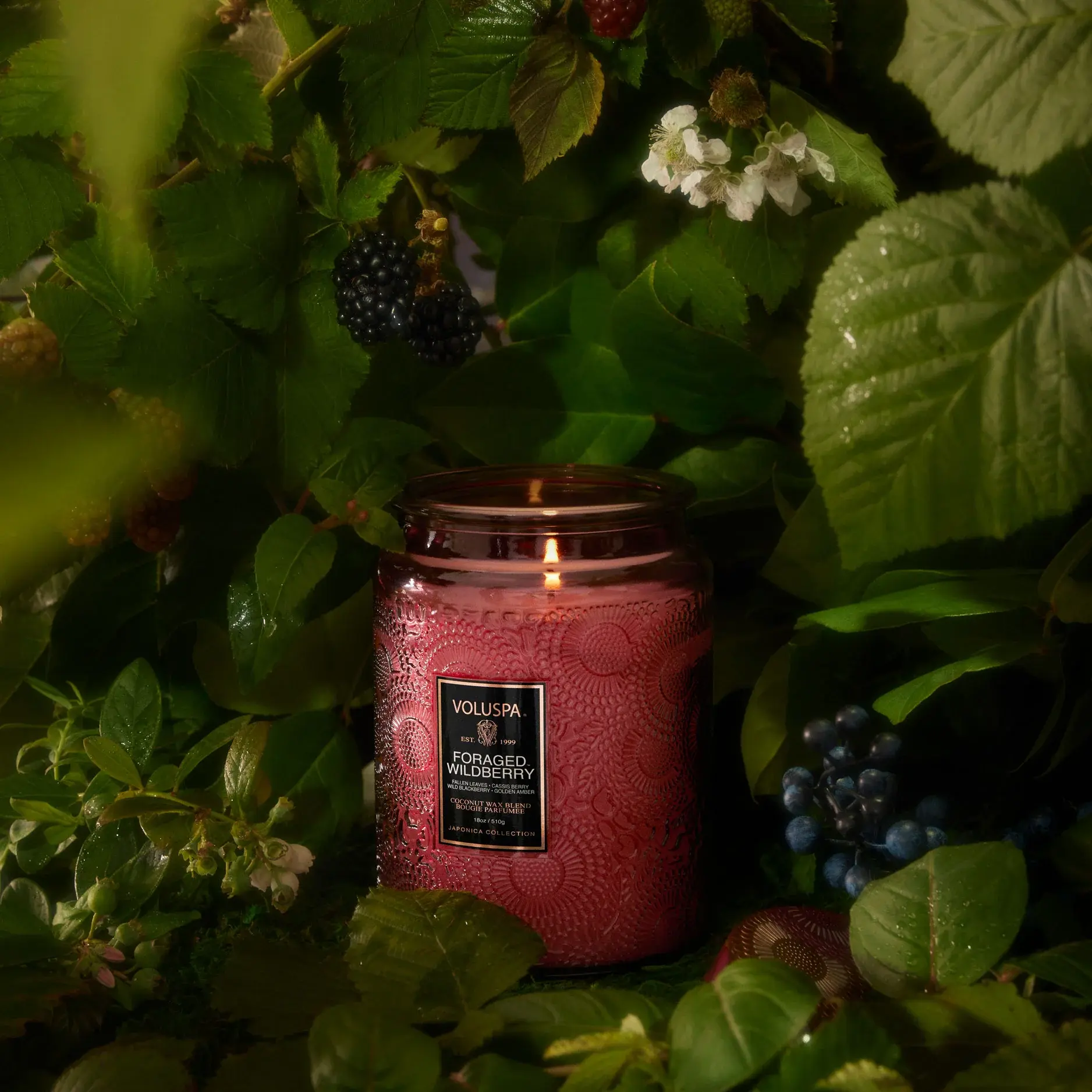 Luxe Jar Candle Forage Wildberry - Daniel Ost