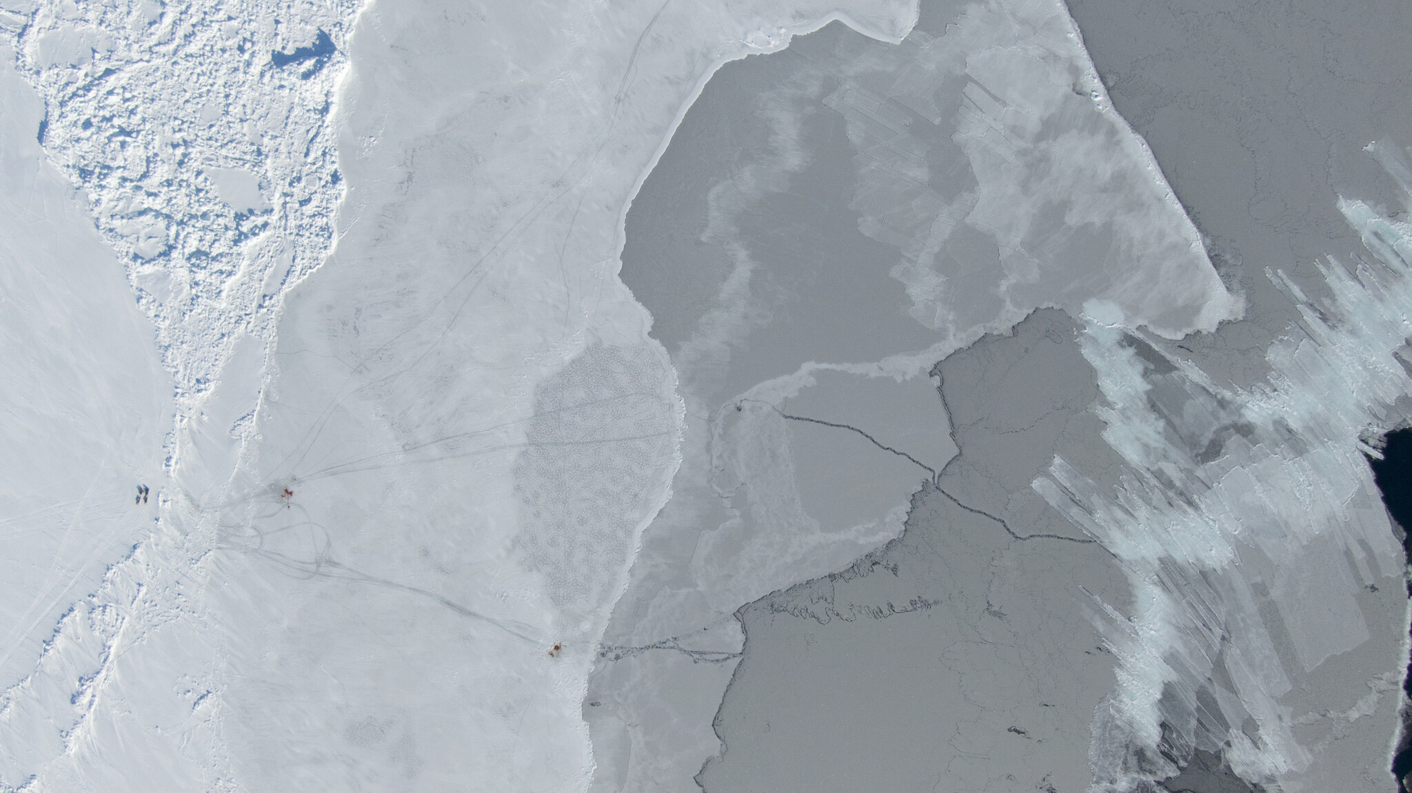 Multi layer fresh sea ice - canuitshop