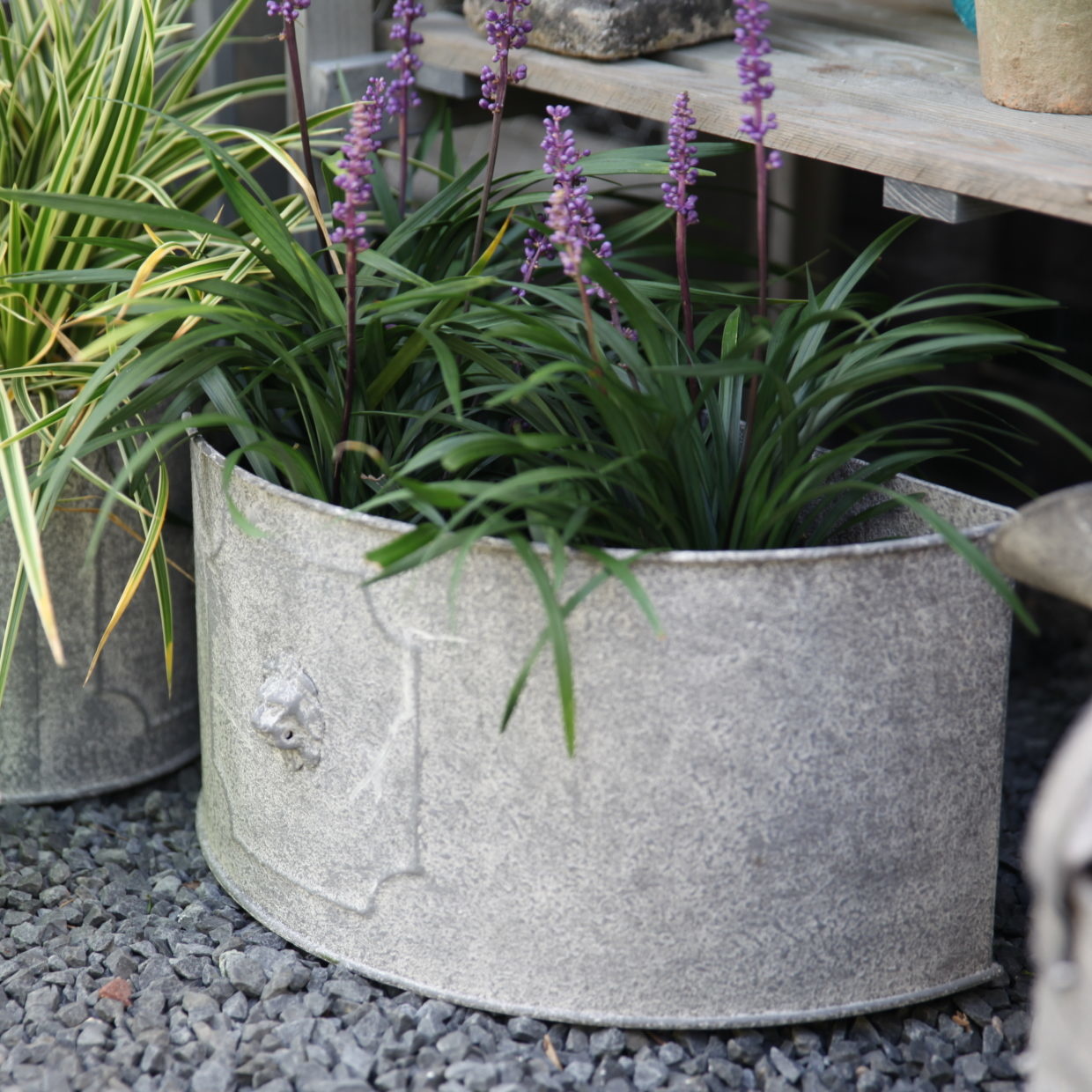 AM leeuw Bloempot halfrond set van 2 | buitenenthuis.nl - buitenenthuis.nl