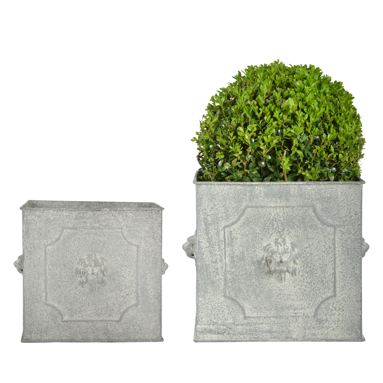 Esschert design - AM Leeuw bloempotten vierkant | buitenenthuis.nl ...