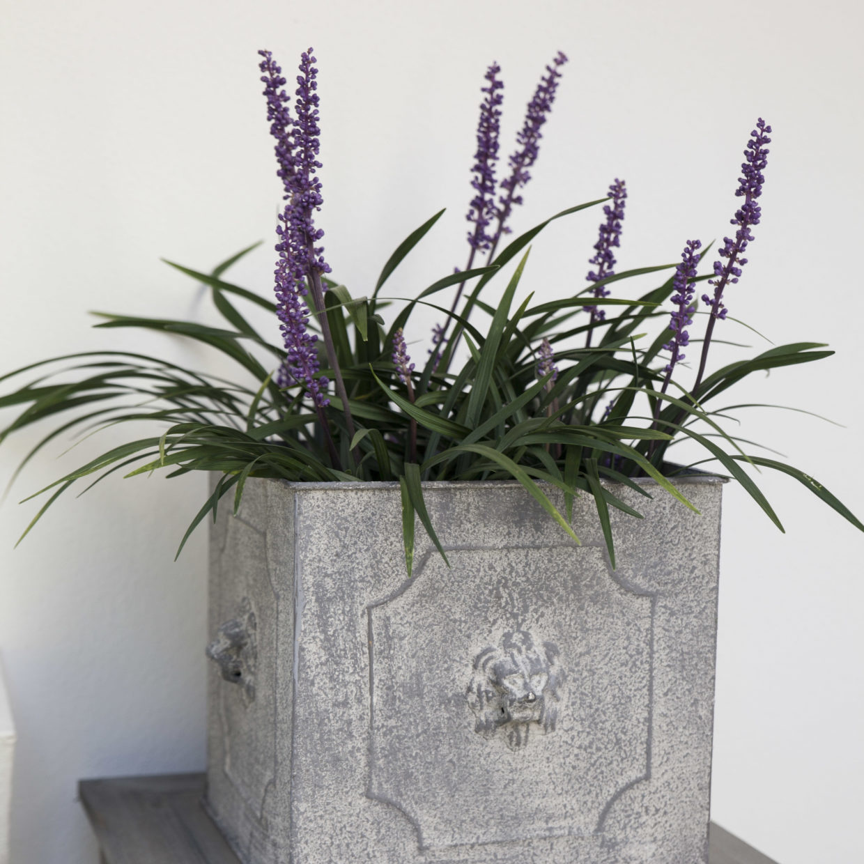 Esschert design - AM Leeuw bloempotten vierkant | buitenenthuis.nl ...