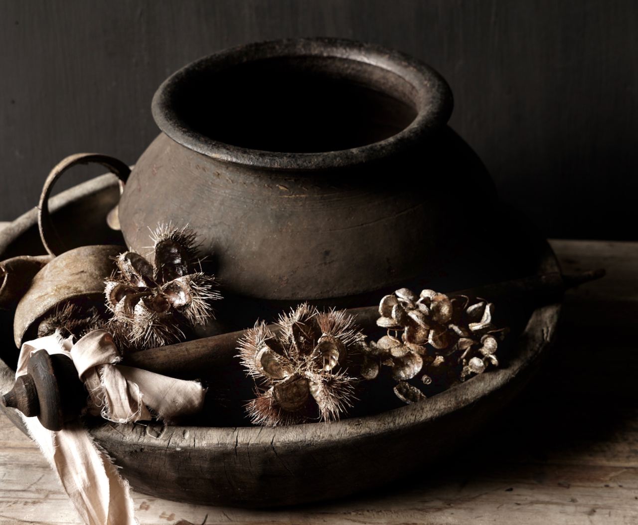 Dried sweet chestnut Champagne /Gold - HerbersLifeHerbersLifestylestyle