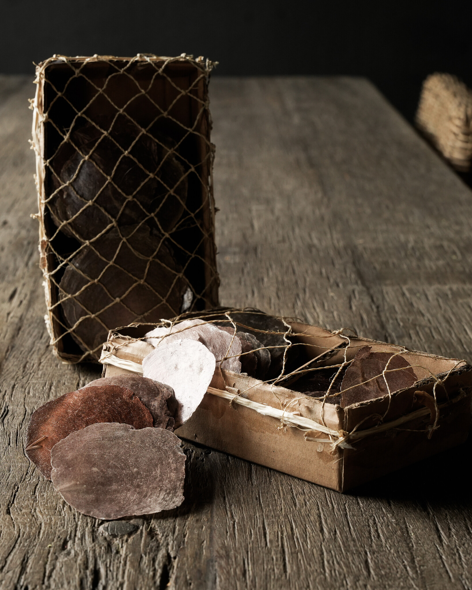 Capiz shell in a box of 300 grams - HerbersLifeHerbersLifestylestyle