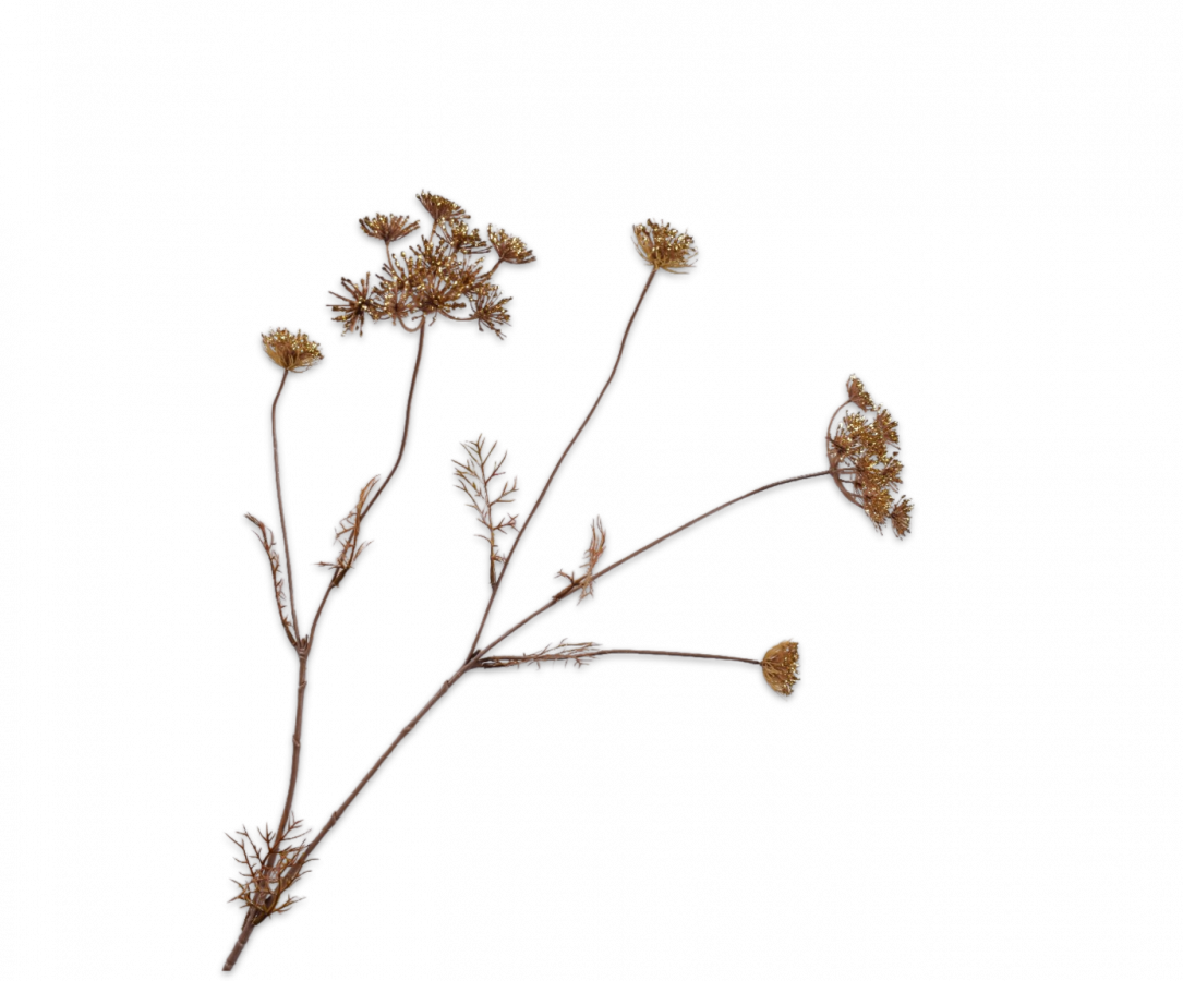 DILLE TAK GOUD 100 cm - HerbersLifestyle