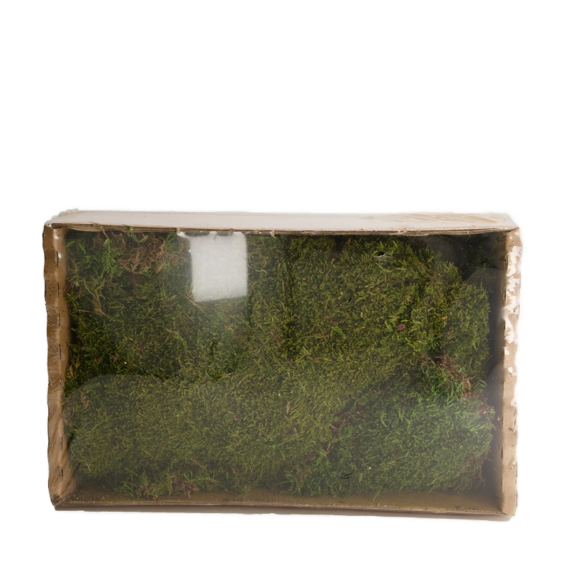 box with 150g dried sheet moss - HerbersLifeHerbersLifestylestyle