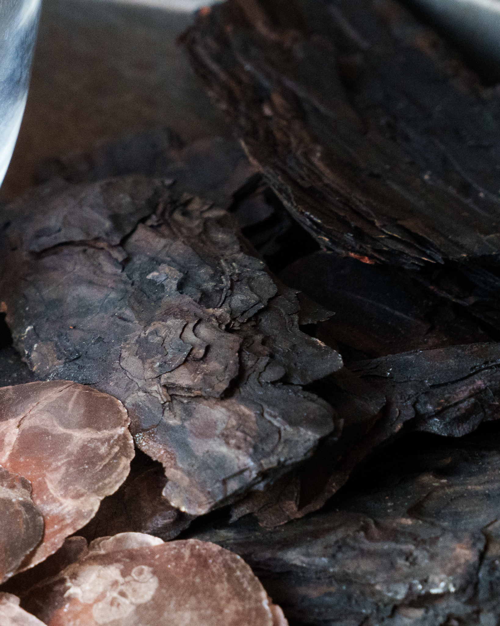 Black tree bark - HerbersLifeHerbersLifestylestyle