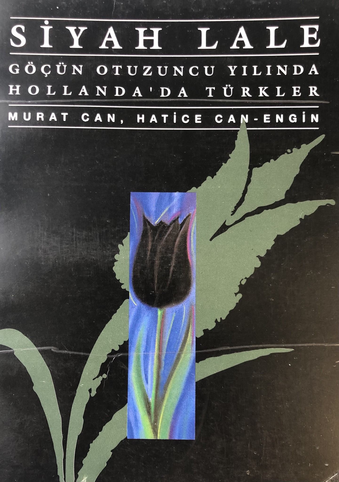 SIYAH LALE - ISN SHOP