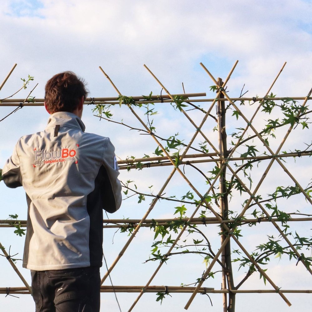 Doorverbinden leibomen - Flowbo B.V.