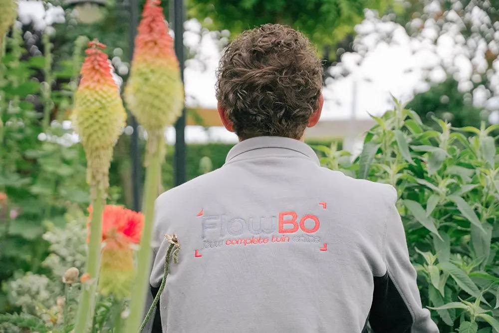 Waarom heeft mijn olijfboom gele blaadjes? - Flowbo B.V,