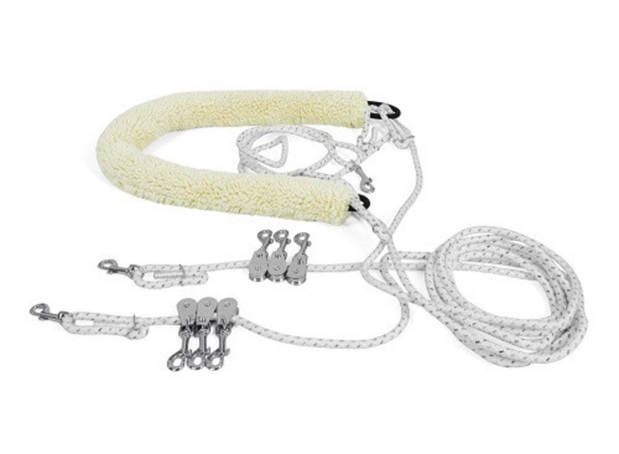 Pessoa Training System - Horseonline.com